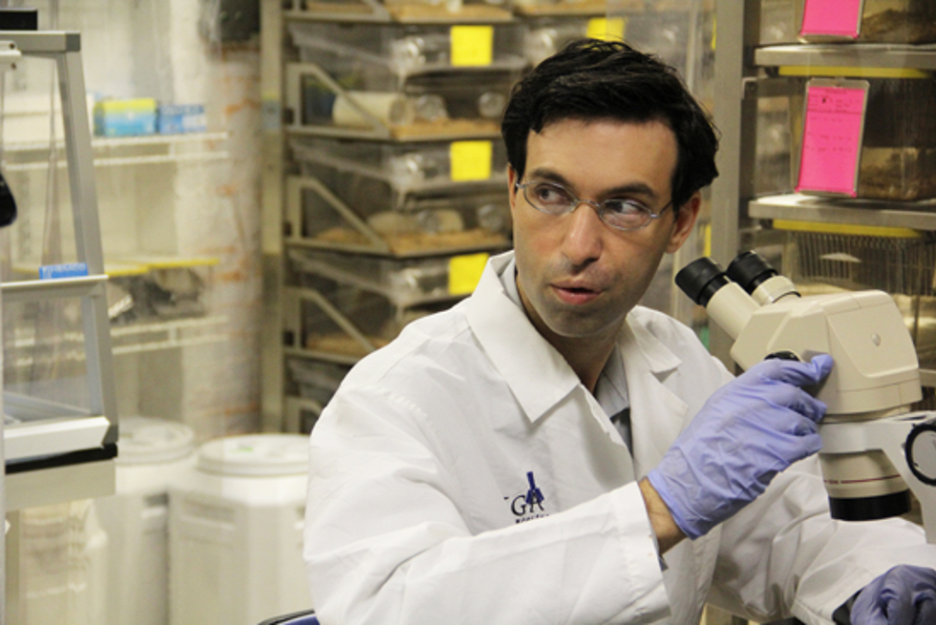 Rubberneck (2012) | ČSFD.cz