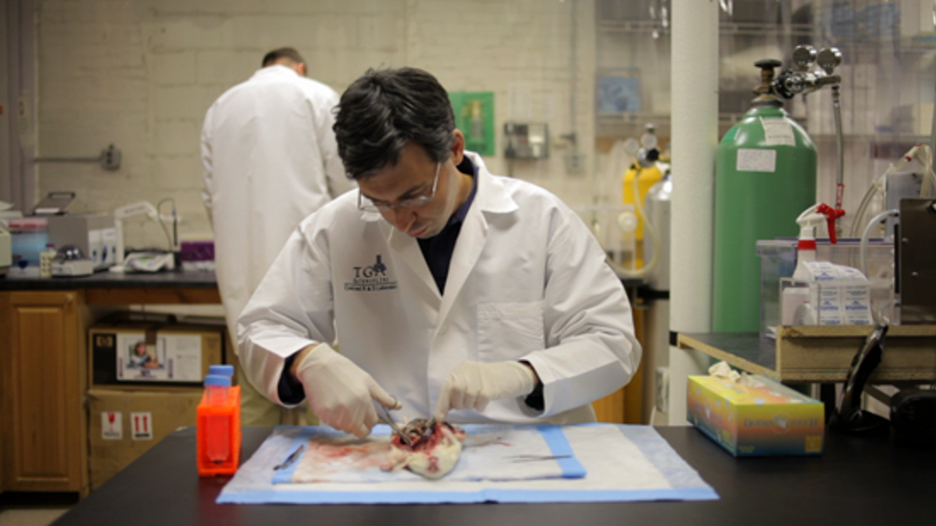 Rubberneck (2012) | ČSFD.cz