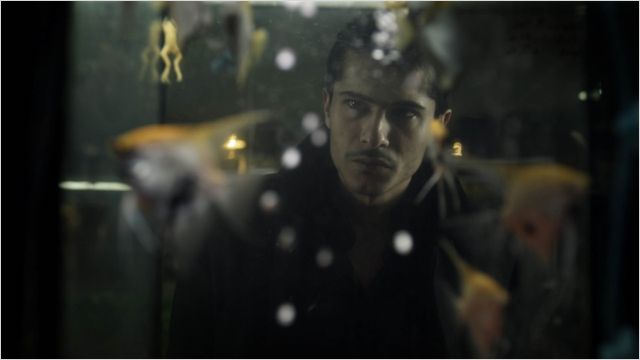 Çakal (2010) | ČSFD.cz