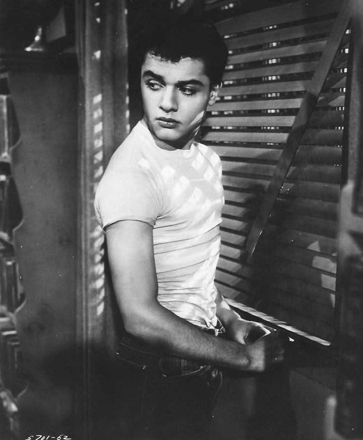 Dino (1957) | ČSFD.cz