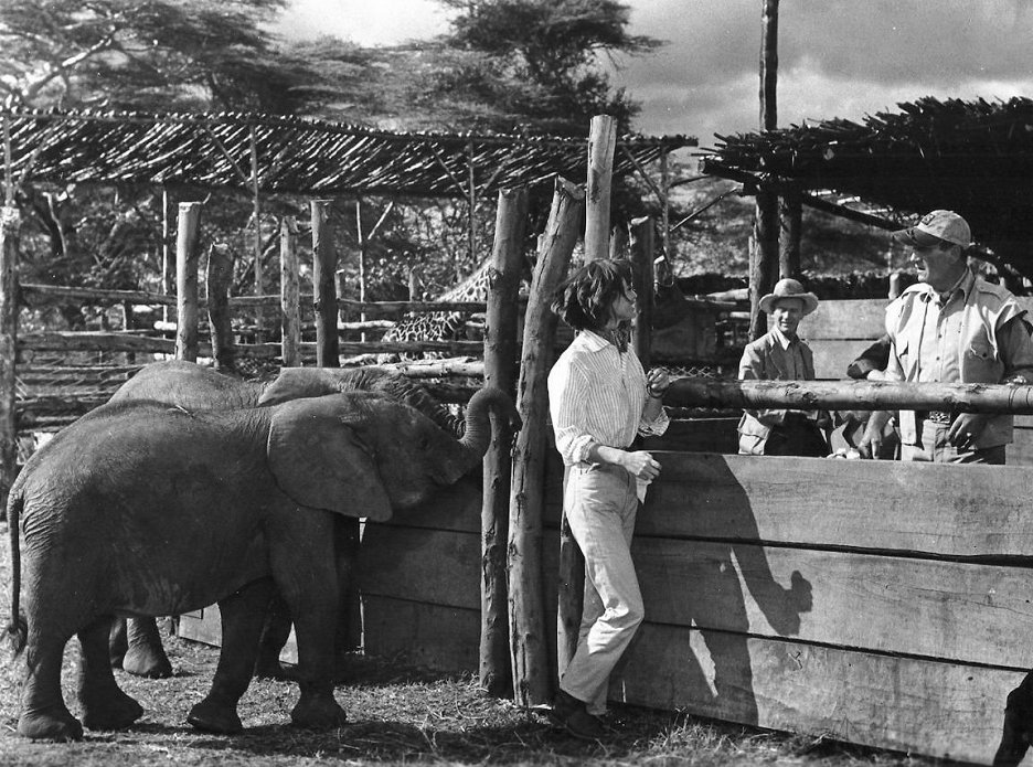 Hatari! (1962) | ČSFD.cz