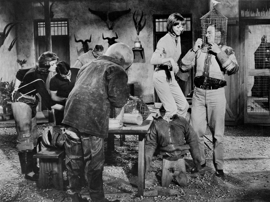 Hatari! (1962) | ČSFD.cz