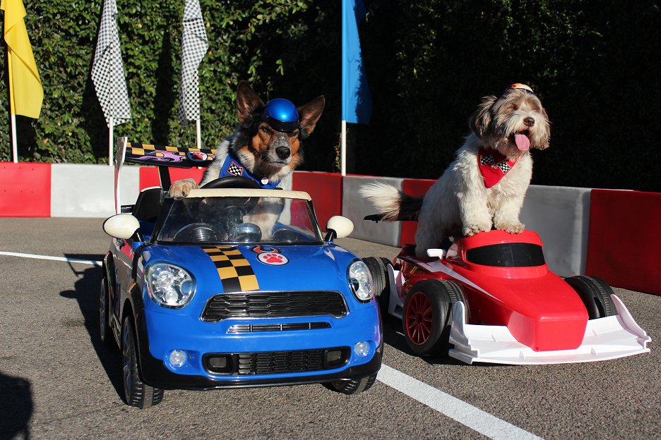 Mutt & Stuff (2015) | ČSFD.cz