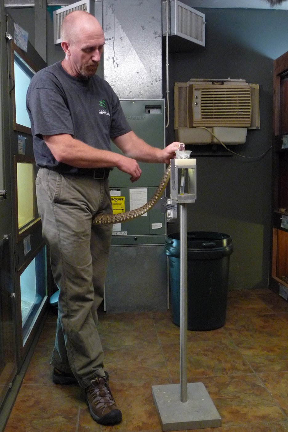 Smrtící přitažlivost (2010) | ČSFD.cz