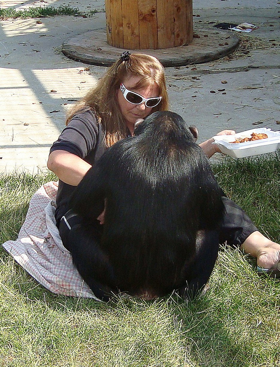 Smrtící přitažlivost (2010) | ČSFD.cz