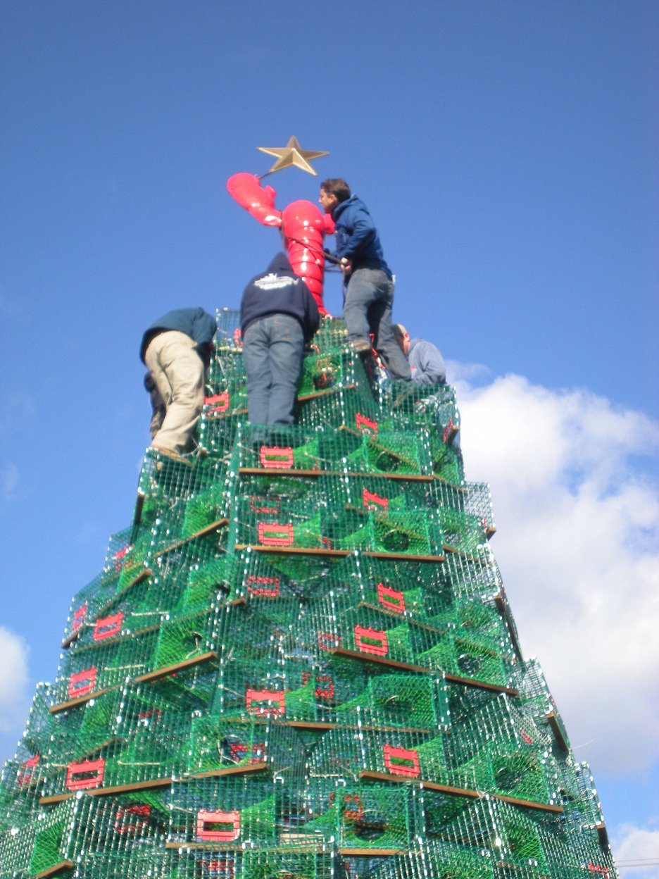 Extreme Christmas Trees (2011) | ČSFD.cz