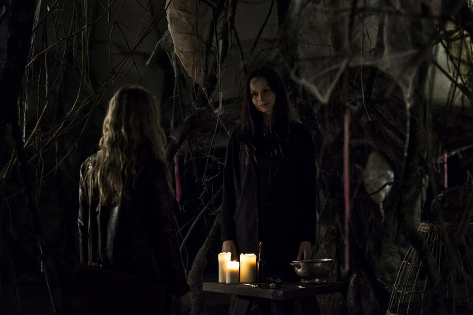 Cherry Tree (2015) | ČSFD.cz