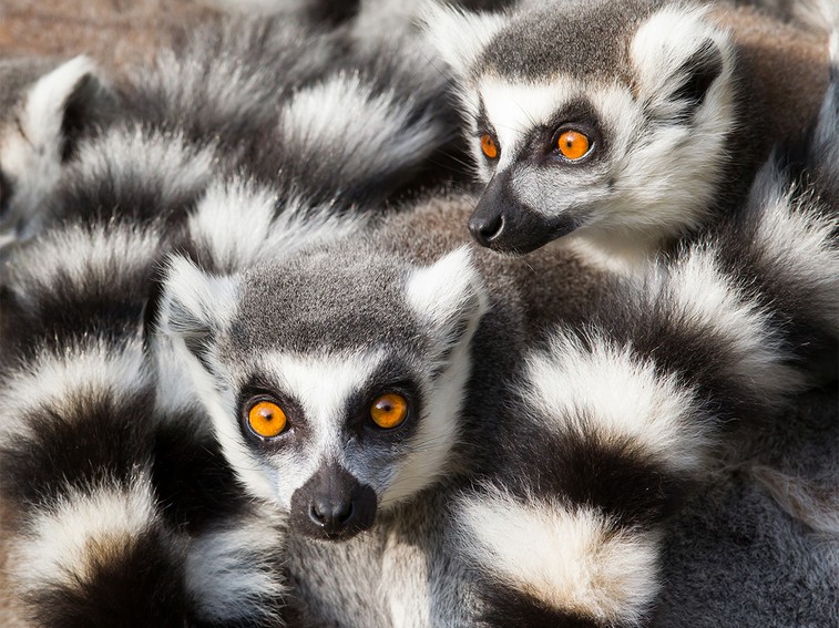 Destination Wild (2006) | ČSFD.cz