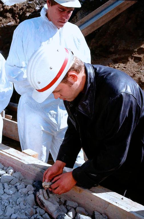 Der Schnapper: Ein Toter kehrt zurück (2000) | ČSFD.cz