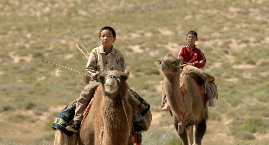 Jia zai shui cao feng mao di di fang (2014) | ČSFD.cz