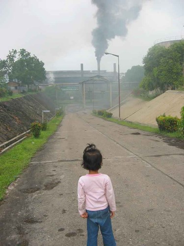 The Burning Season (2008) | ČSFD.cz