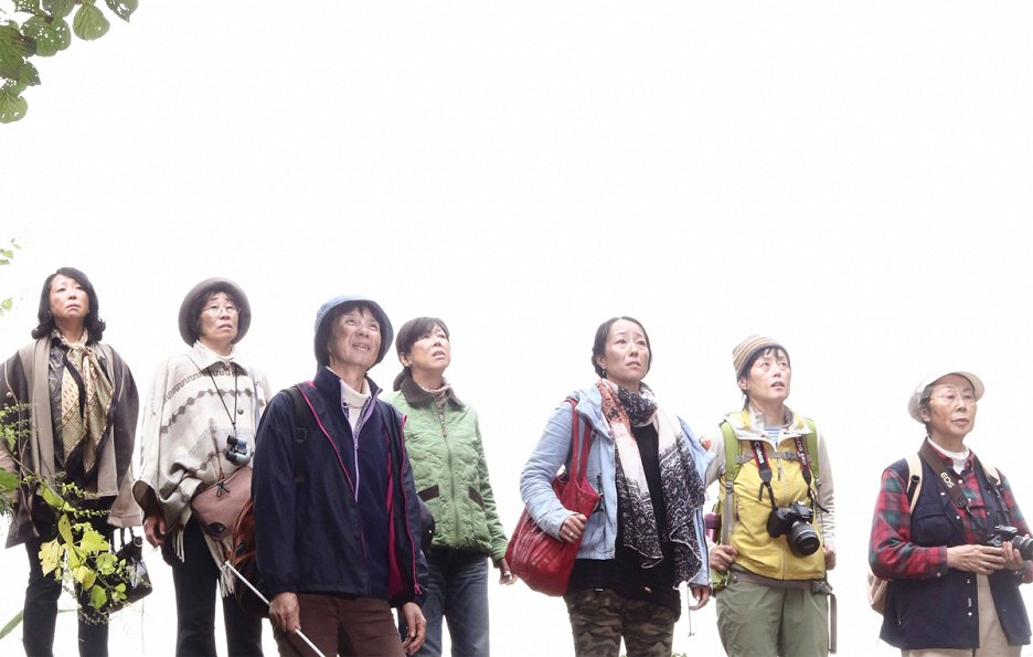 Taki wo mini iku (2014) | ČSFD.cz