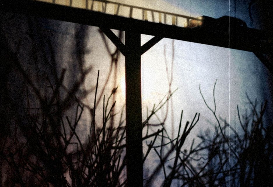 A Half Man (2005) | ČSFD.cz