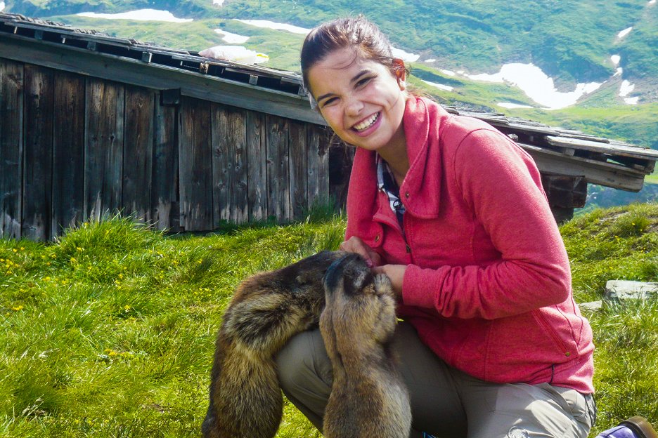 Anna und die wilden Tiere - Wo pfeift das Murmeltier? (E21) (2015 ...