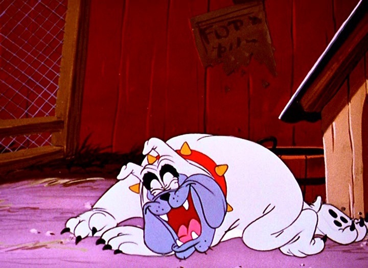 Wonder Dog (1950) | ČSFD.cz