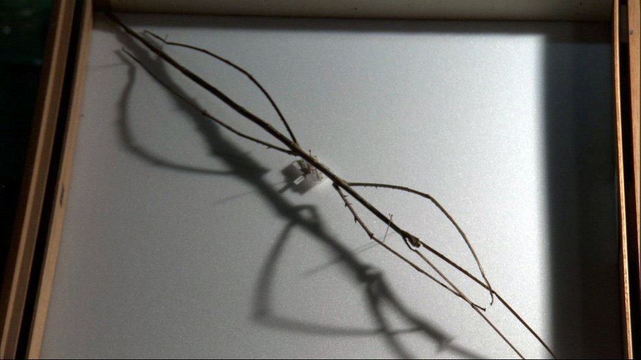 Decade of Discovery (2010) | ČSFD.cz