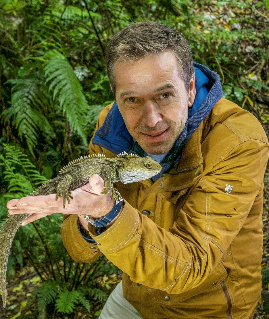 Terra X: Faszination Erde - mit Dirk Steffens: Neuseeland - Phönix aus ...