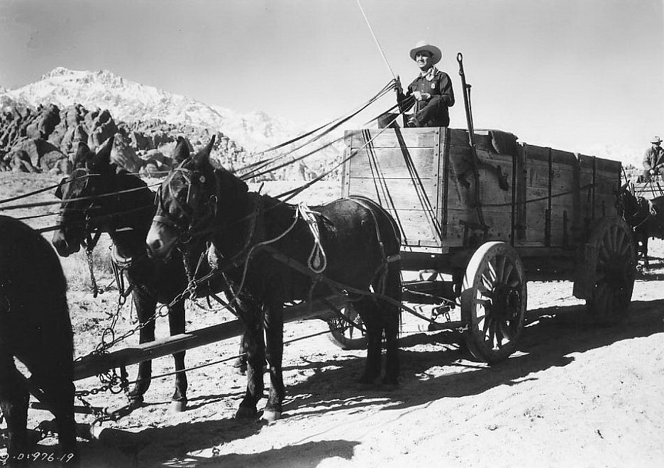 Mule Train (1950) | ČSFD.cz