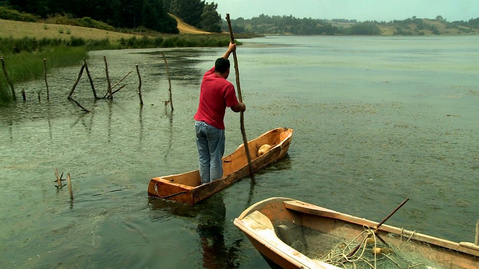 In the Americas with David Yetman (2012) | ČSFD.cz