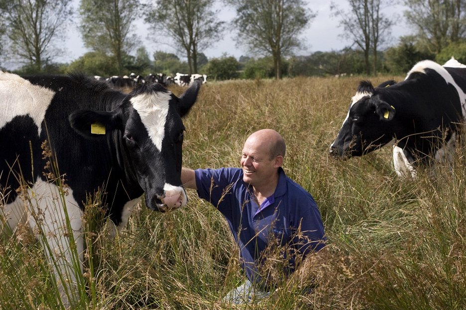 The Moo Man (2013) | ČSFD.cz