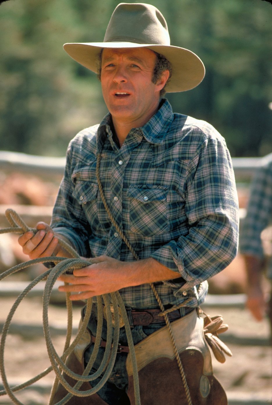 James Caan | ČSFD.cz