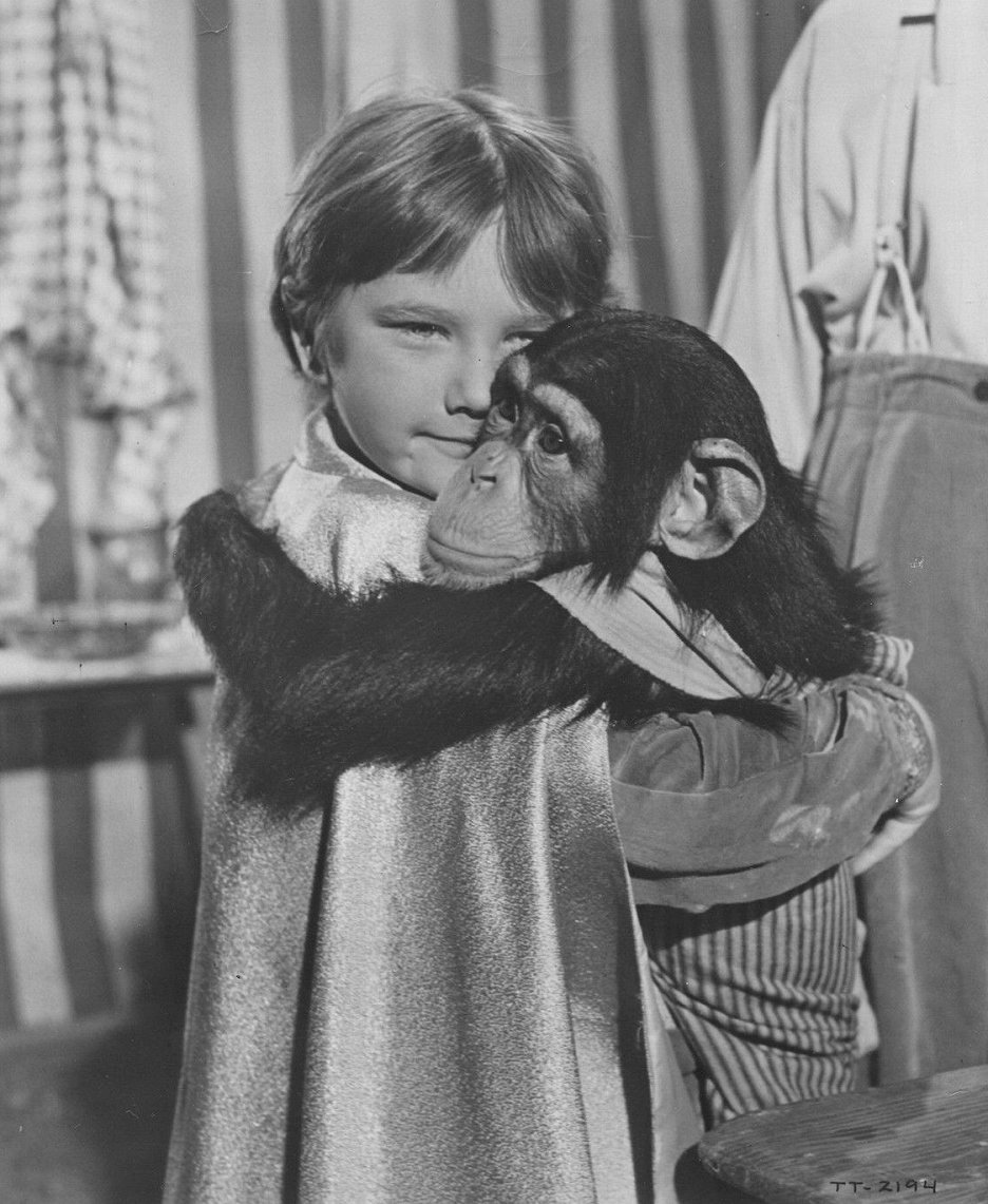 Toby Tyler (1960) | Galéria - Z filmu | ČSFD.sk