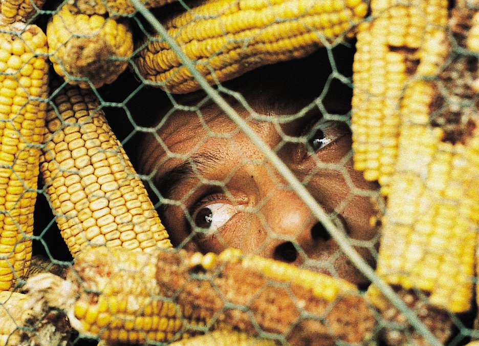 Cache cache (2005) | ČSFD.cz