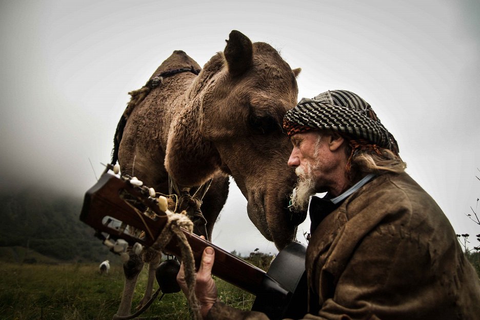Goran the Camel Man (2016) | ČSFD.cz