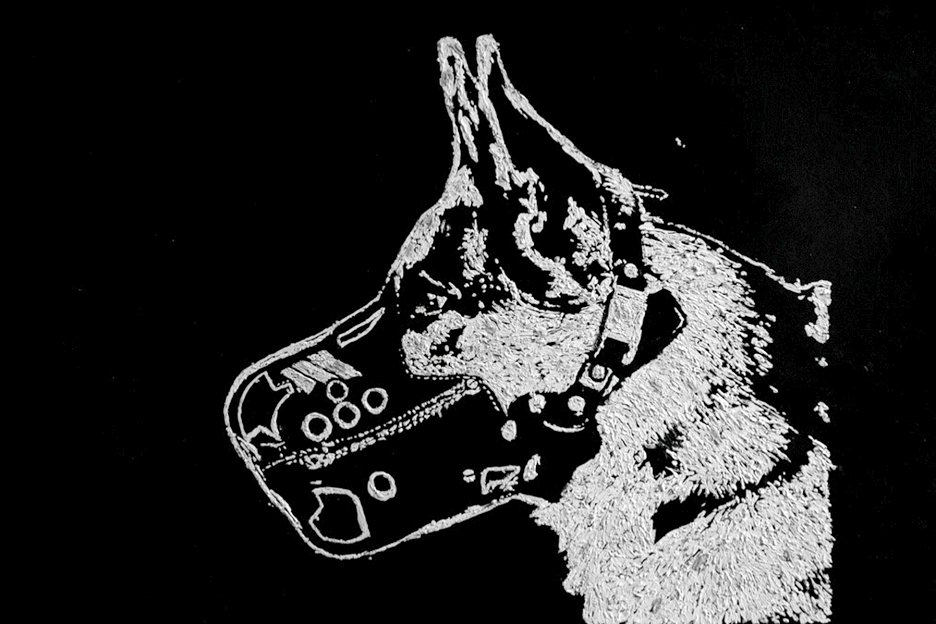 Lupus (2015) | ČSFD.cz