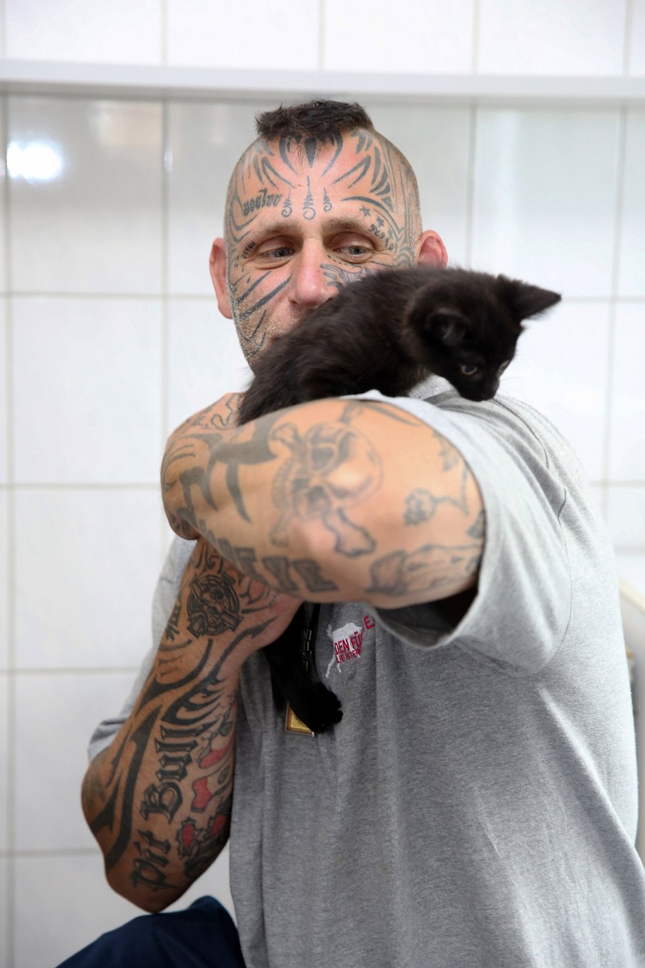 Harte Hunde - Ralf Seeger greift ein (2014) | protagonizan | ČSFD.cz