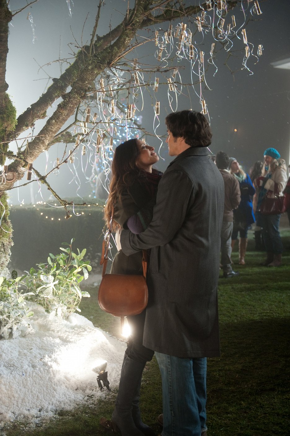 The Wishing Tree (2012) | ČSFD.cz