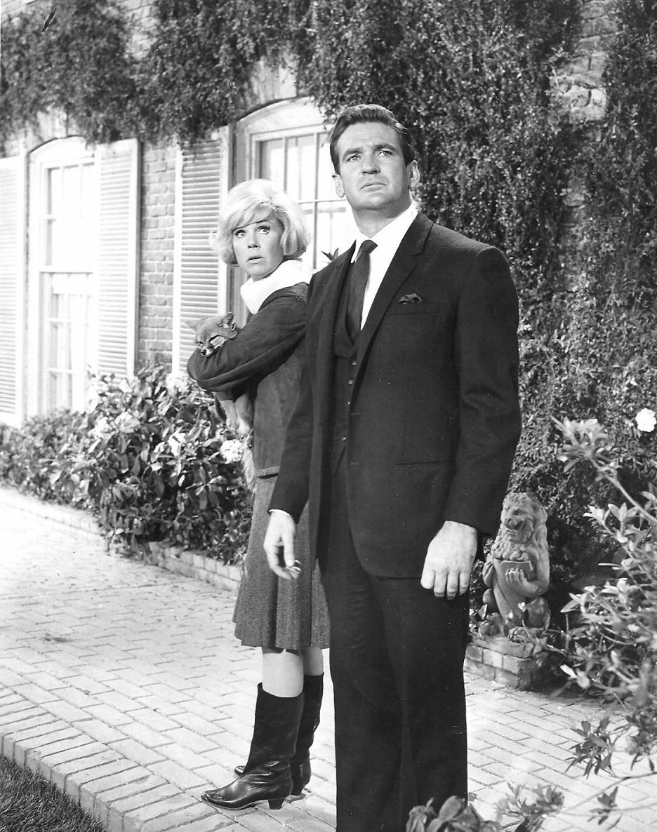 Do Not Disturb (1965) | ČSFD.cz