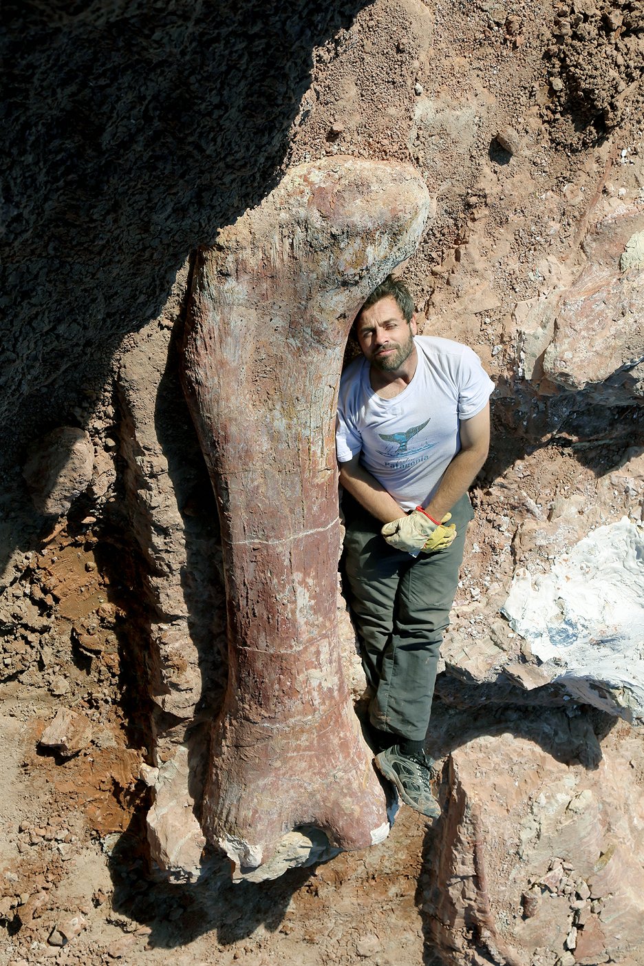 Nature: Raising the Dinosaur Giant (2016) | ČSFD.cz