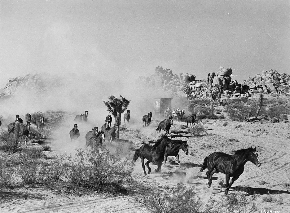 Trigger, Jr. (1950) | ČSFD.cz