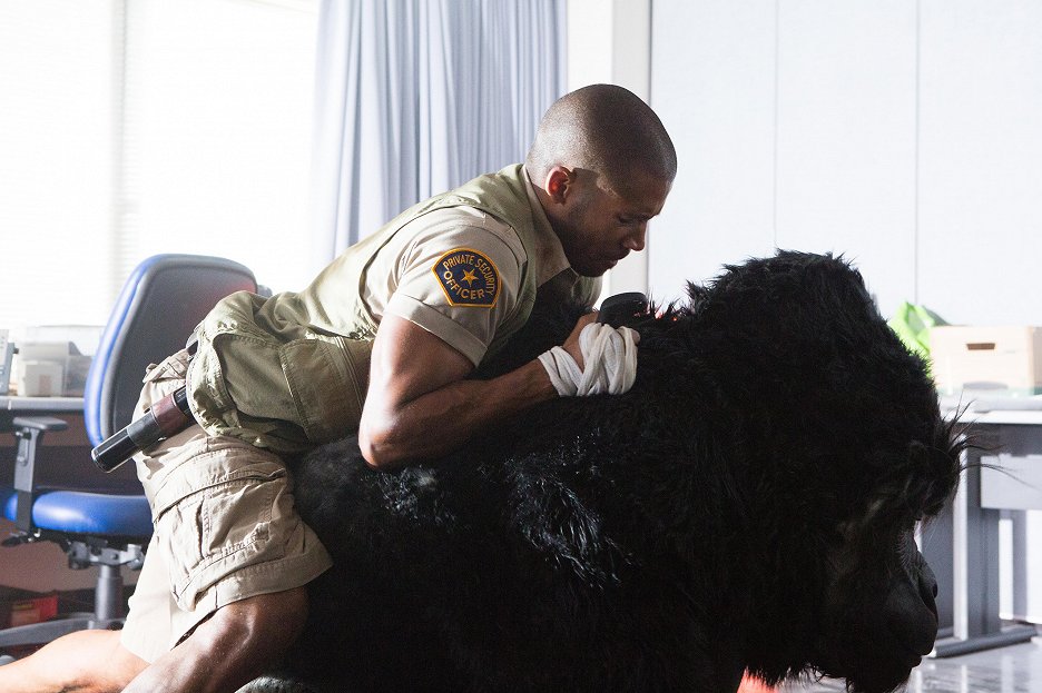 Zoombies (2016) | ČSFD.cz