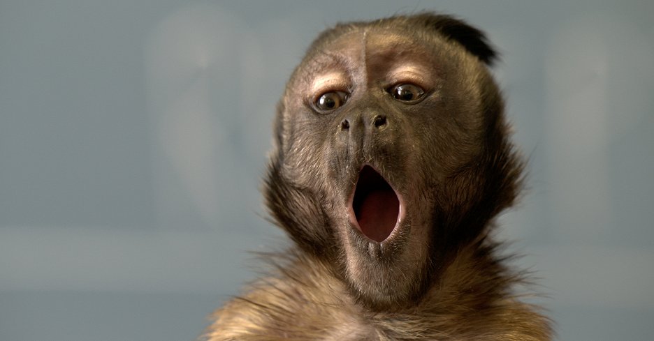 Gibby (2016) | ČSFD.cz