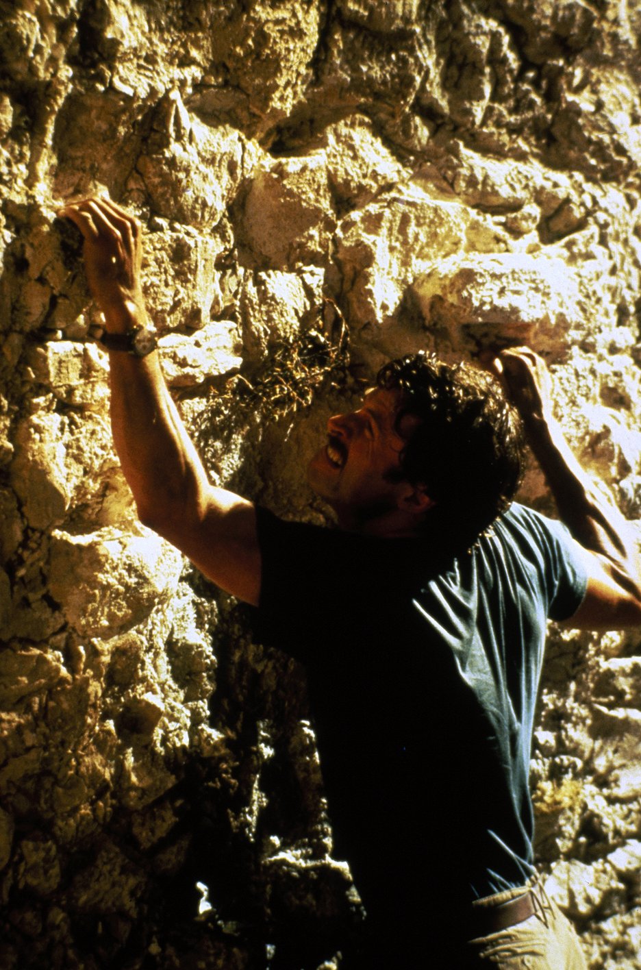 Rok komety (1992) | Filmothek | ČSFD.cz