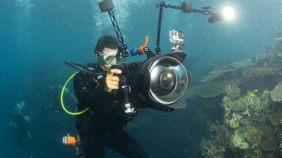 Chasing Coral (2017) | ČSFD.cz