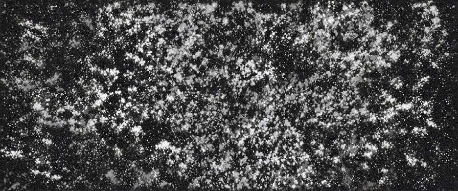 keep that dream burning (2017) | ČSFD.cz