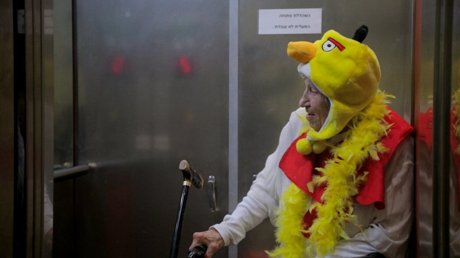 Spring Chicken (2016) | ČSFD.cz