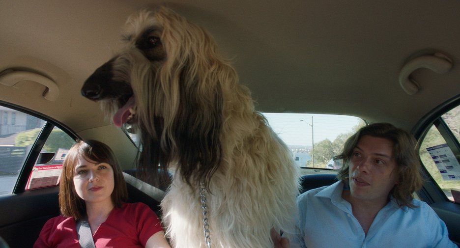 Ellipsis (2017) | ČSFD.sk