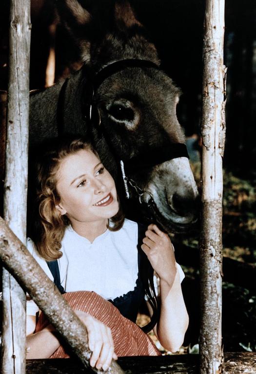 Das Schweigen im Walde (1955) | ČSFD.cz