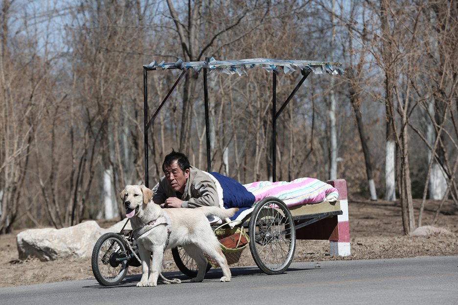 Love Without Words (2017) | ČSFD.cz