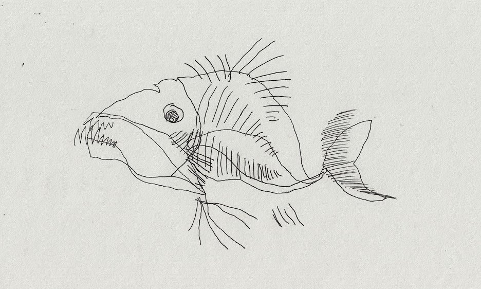 Strange Fish (2017) | Galerie - Z filmu | ČSFD.cz