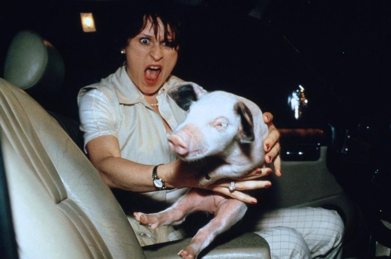 Ferkel Fritz (1998) | ČSFD.cz