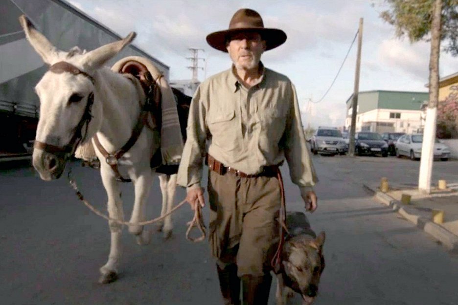 Donkeyote (2017) | ČSFD.cz