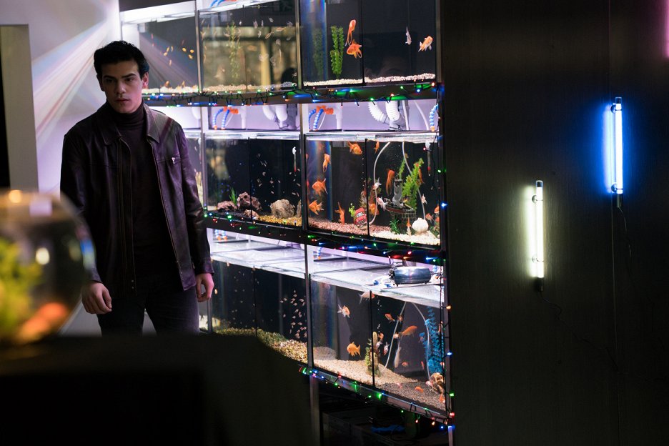 Pes zabiják (2017) | ČSFD.cz