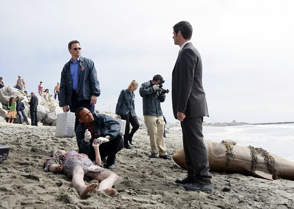 CSI: NY - Like Water for Murder (S04E17) (2008) | ČSFD.cz