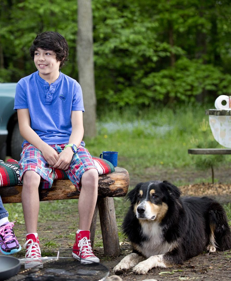 Bark Ranger (2015) | ČSFD.cz