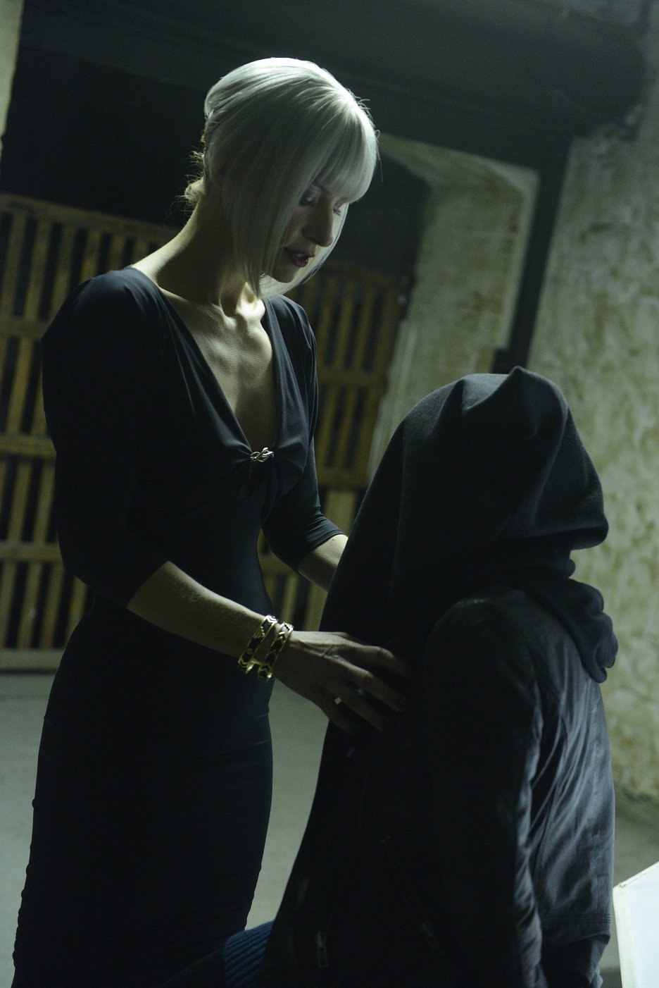 Orphan Black - Parts Developed in an Unusual Manner (S01E07) (2013 ...